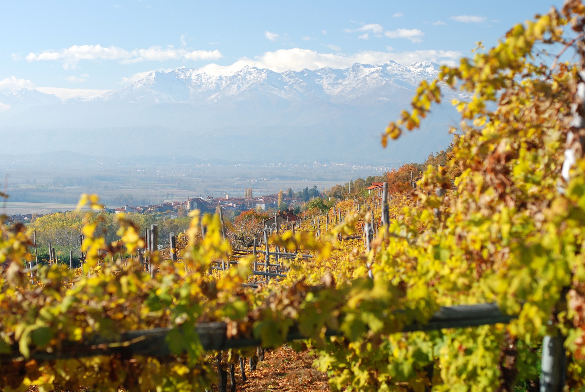 Vi.A Tour, l'œnotourisme aux pieds des Alpes | Alcotra 2021 - 2027